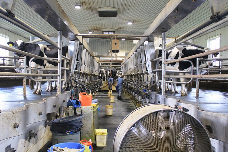 Ag innovation a driving force at Schrack Farms | News, Sports, Jobs ...